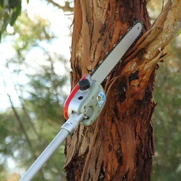 HONDA Pole Pruner Attachment (SSPPU) | B.W. Machinery